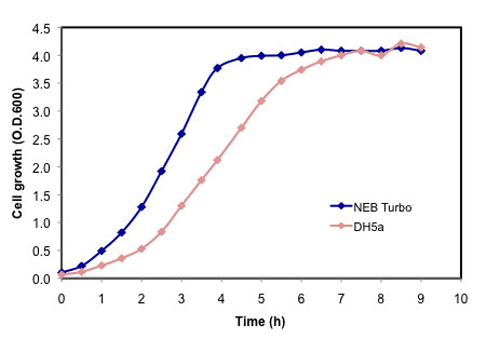 NEB® Turbo Competent E. coli (High Efficiency) | NEB
